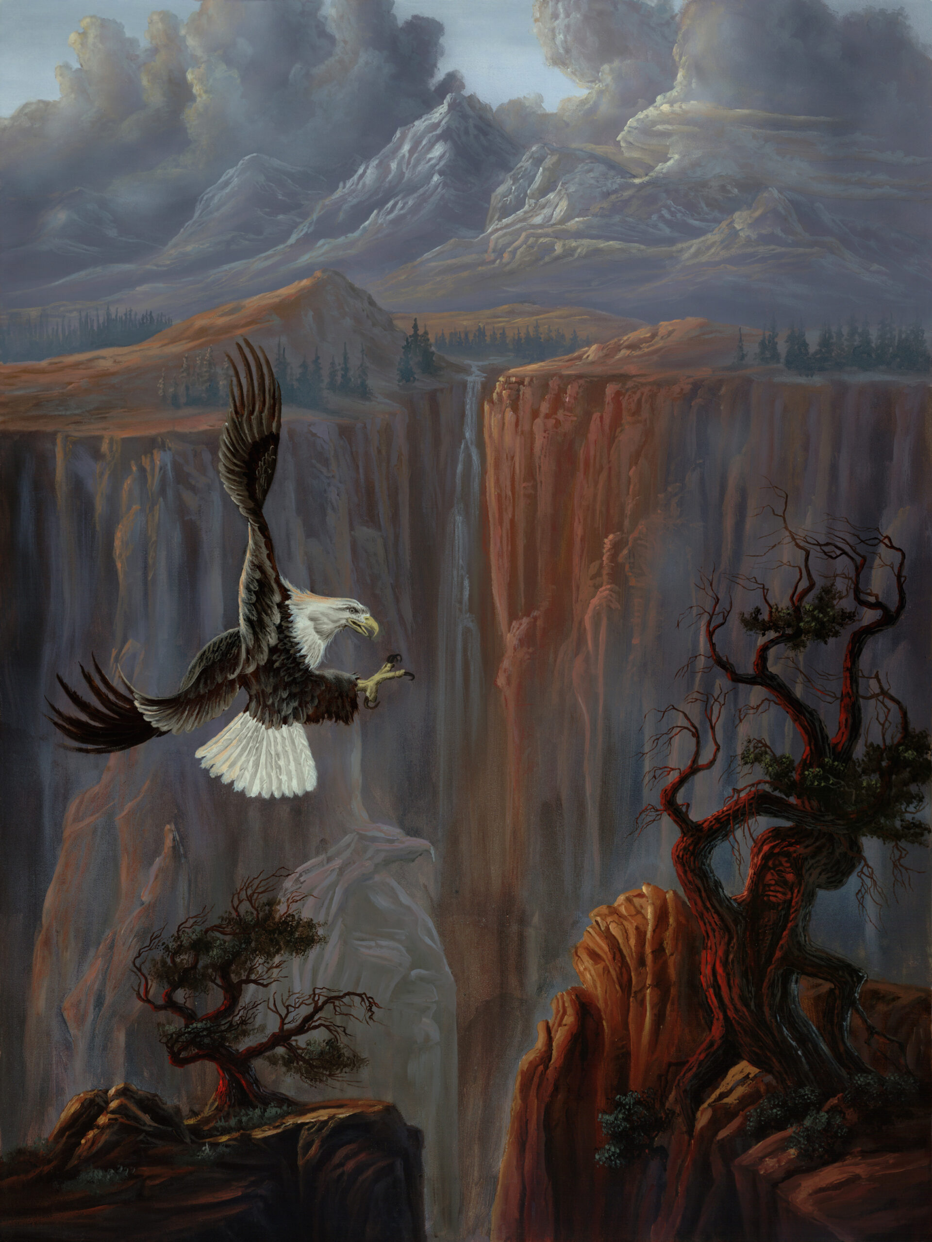 SHOP | Bearcloud Gallery