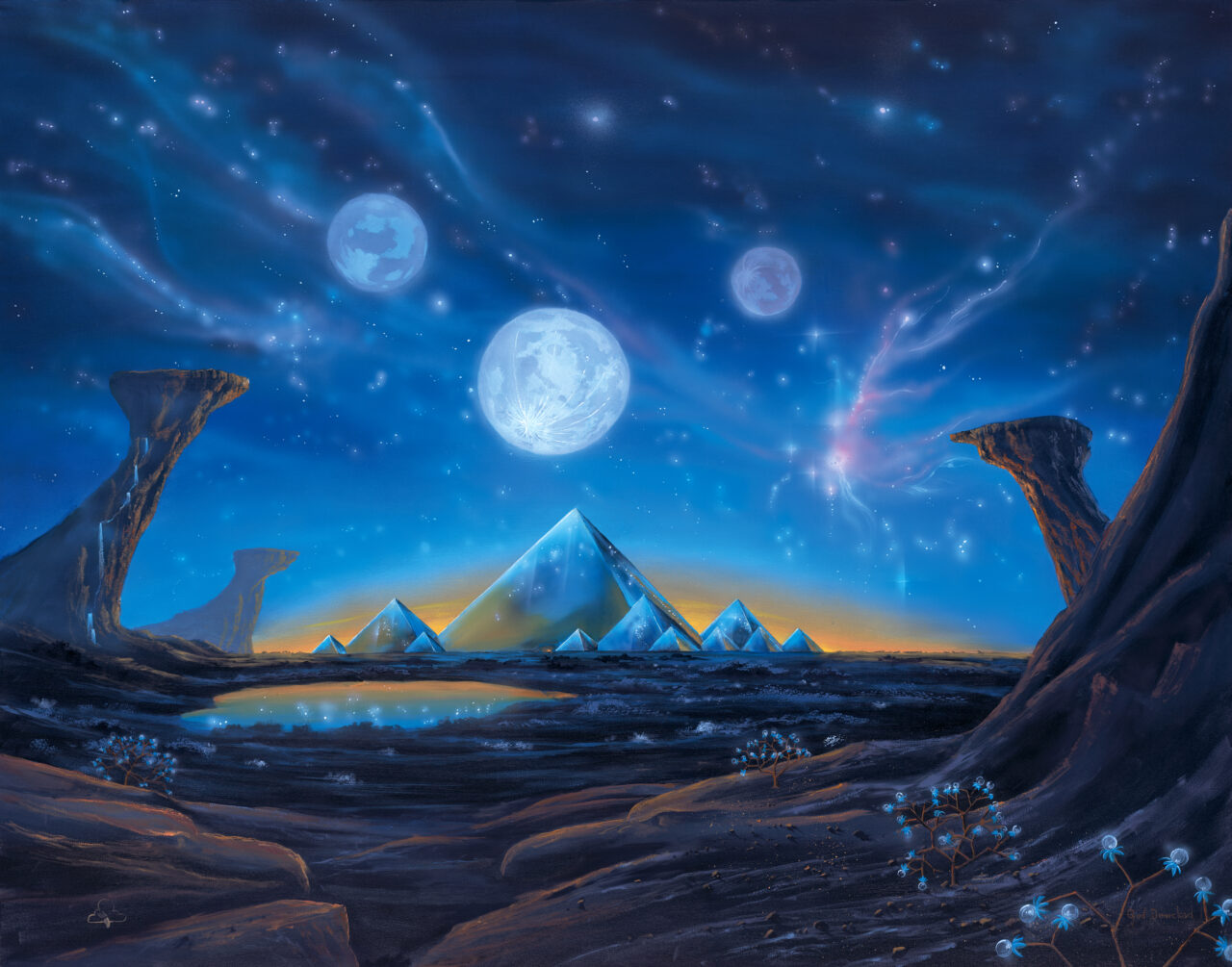 SHOP | Bearcloud Gallery